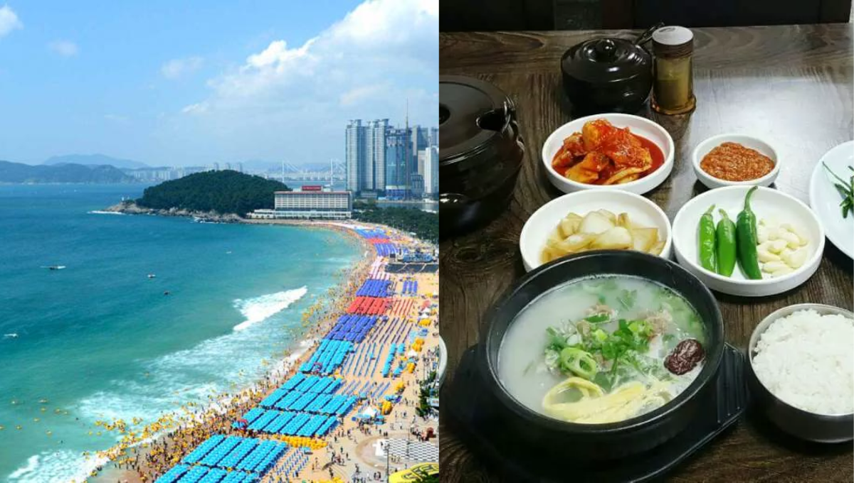 【美食】来到韩国不要只去首尔，还有这些釜山美食可以尝试 | MOpress - Professional Writer's Content ...