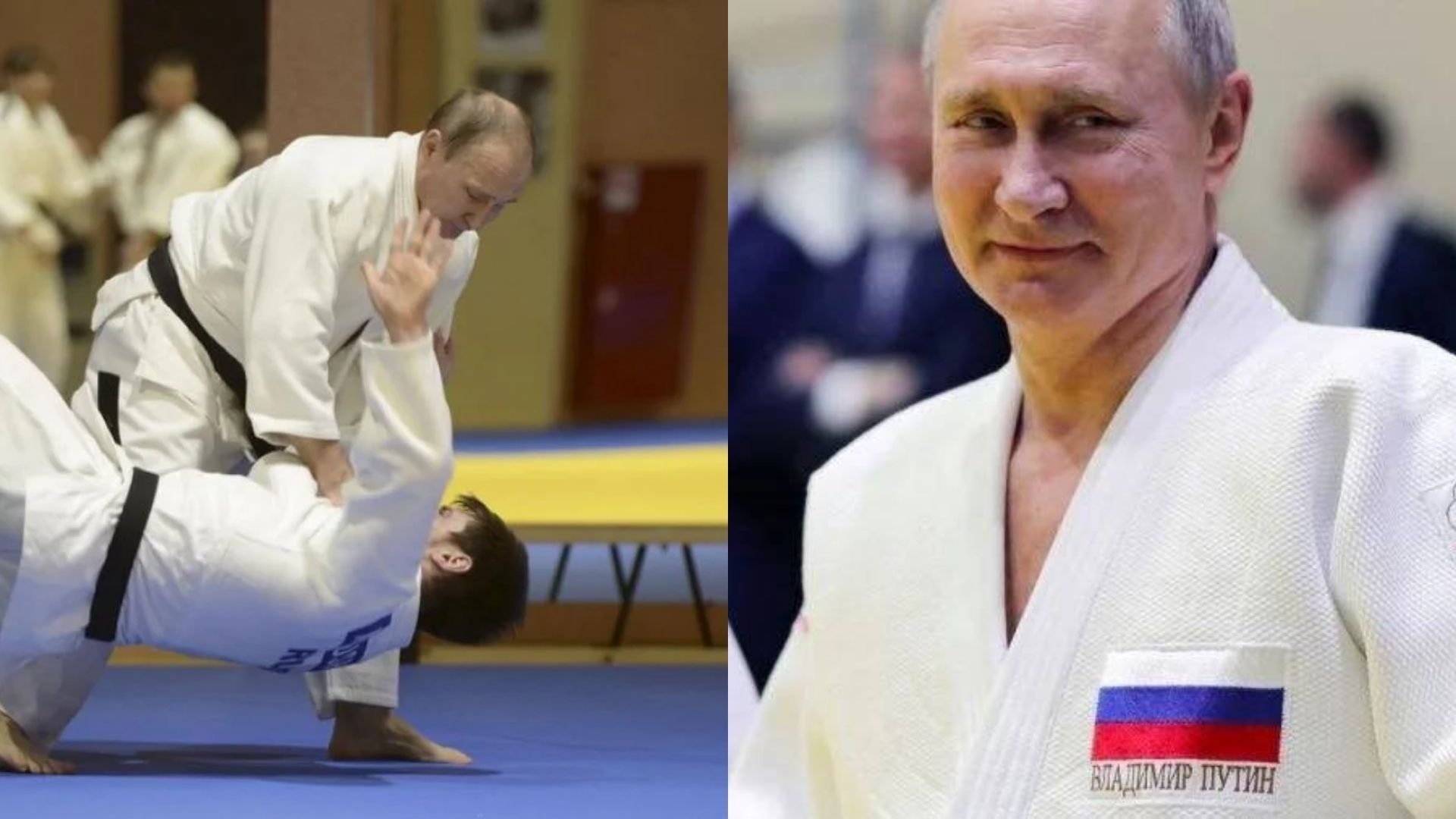 普汀曾获“柔道学荣誉博士”荣衔，韩国网友激愤要求撤销！ | MOpress - Professional Writer's Content ...