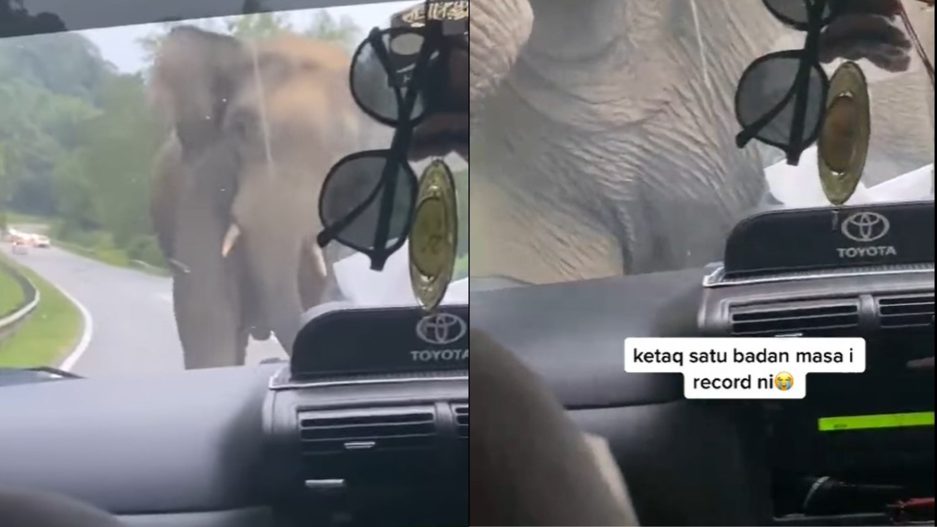 【内有影片】疑遭油门声刺激到，大象踩踏攻击轿车！ | MOpress - Professional Writer's Content Platform